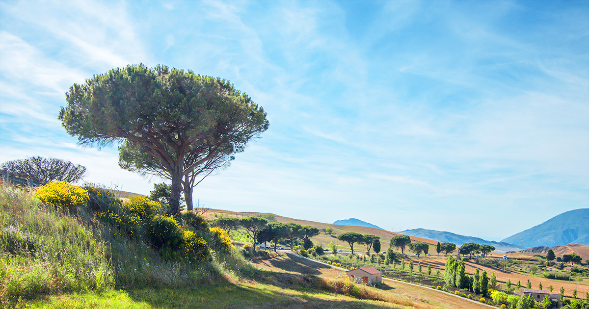 Sicily - Nature walks
