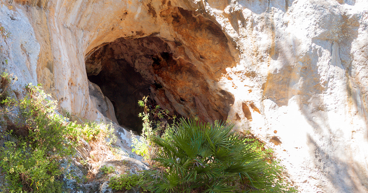 Sicily + Monte Catalfano: Caves, Orchids, and Old Towers